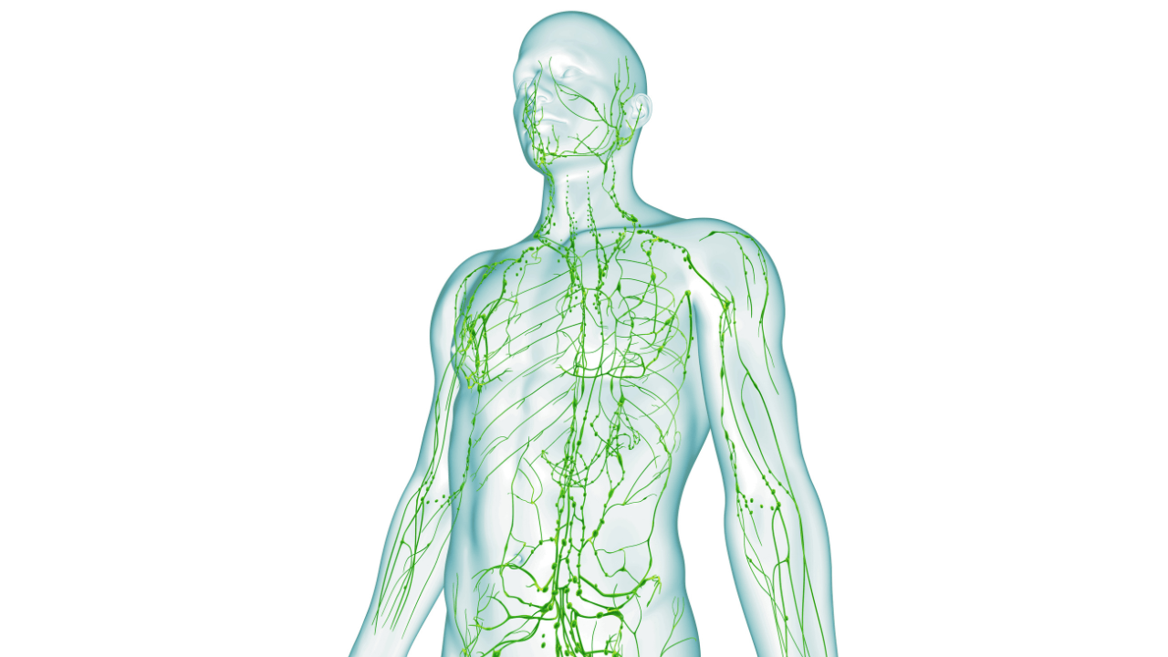 Post-Liposuction Care: Benefits of Lymphatic Massage Therapy